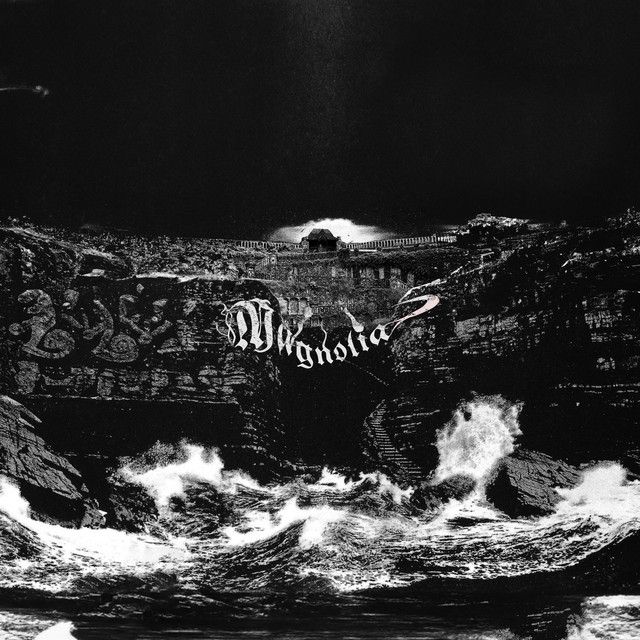 Magnolia Albums: songs, discography, biography, and listening guide ...