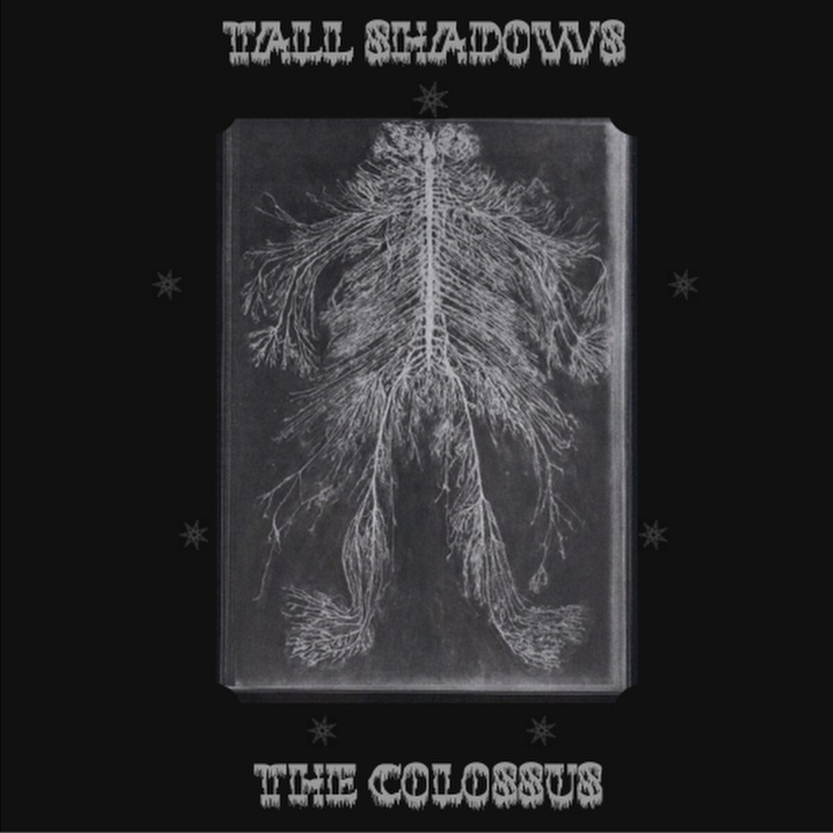 The Colossus by Tall Shadows (Album): Reviews, Ratings, Credits, Song list - Rate Your Music