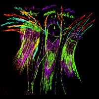 Voodoo Mount Sister Albums: songs, discography, biography, and ...