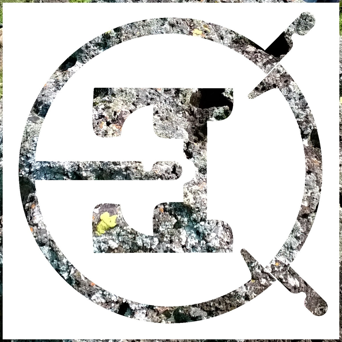 Jessica Walrus Albums: songs, discography, biography, and listening ...