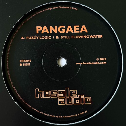 Fuzzy Logic / Still Flowing Water by Pangaea (Single, Hardgroove Techno ...