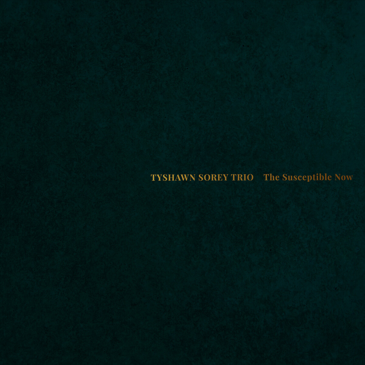 The Susceptible Now by Tyshawn Sorey Trio (Album): Reviews, Ratings, Credits, Song list - Rate ...