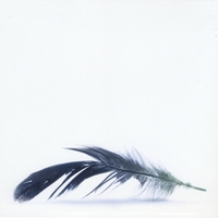 The Aviary by Jonny Rodgers (Album): Reviews, Ratings, Credits, Song ...