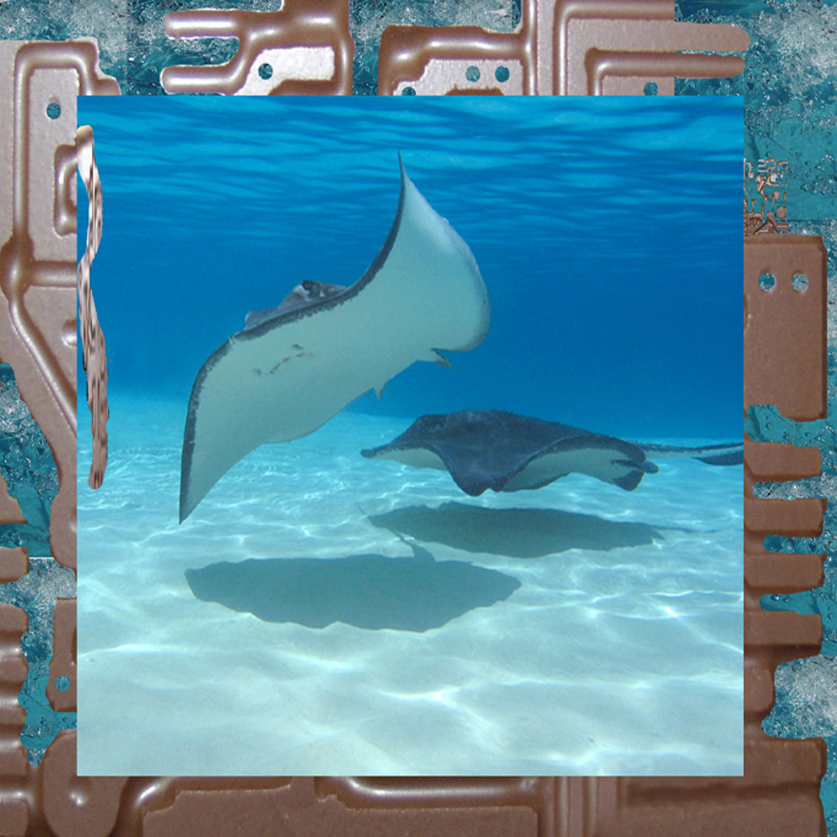 Rerex 1 by James Ferraro (Album; n/a; 04): Reviews, Ratings, Credits ...