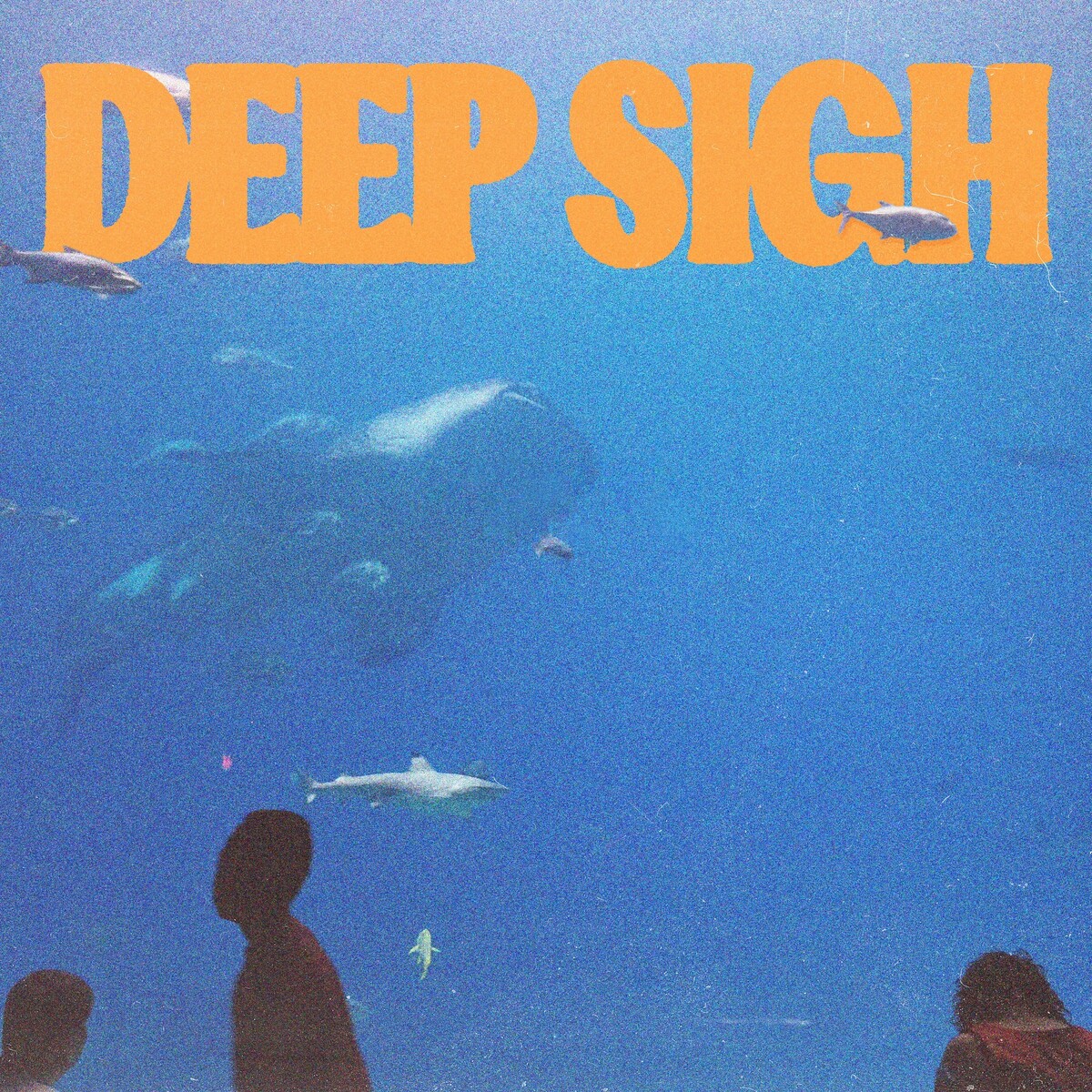 Deep Sigh Albums: songs, discography, biography, and listening guide ...