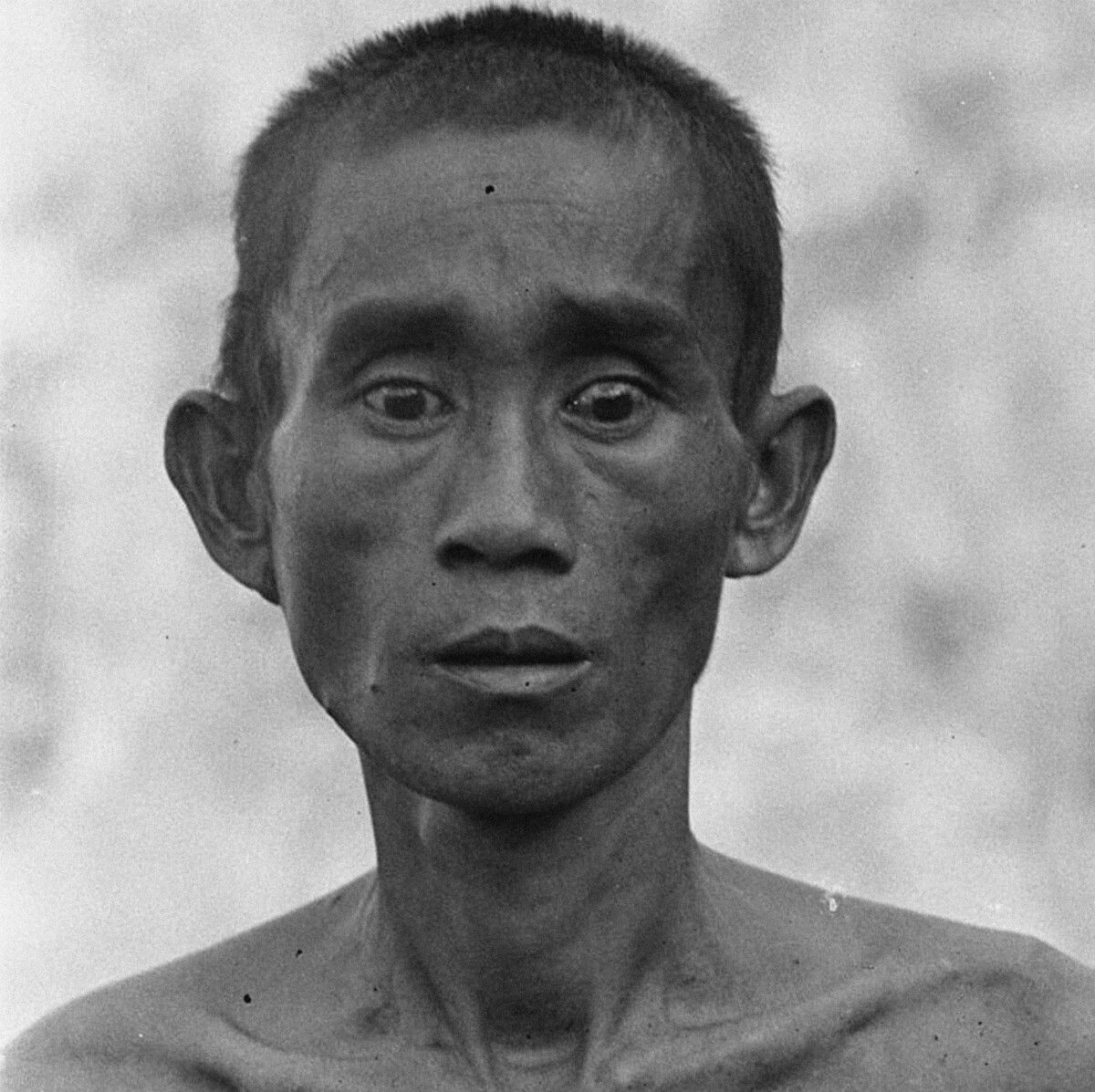 Hulubalang Albums: songs, discography, biography, and listening guide ...