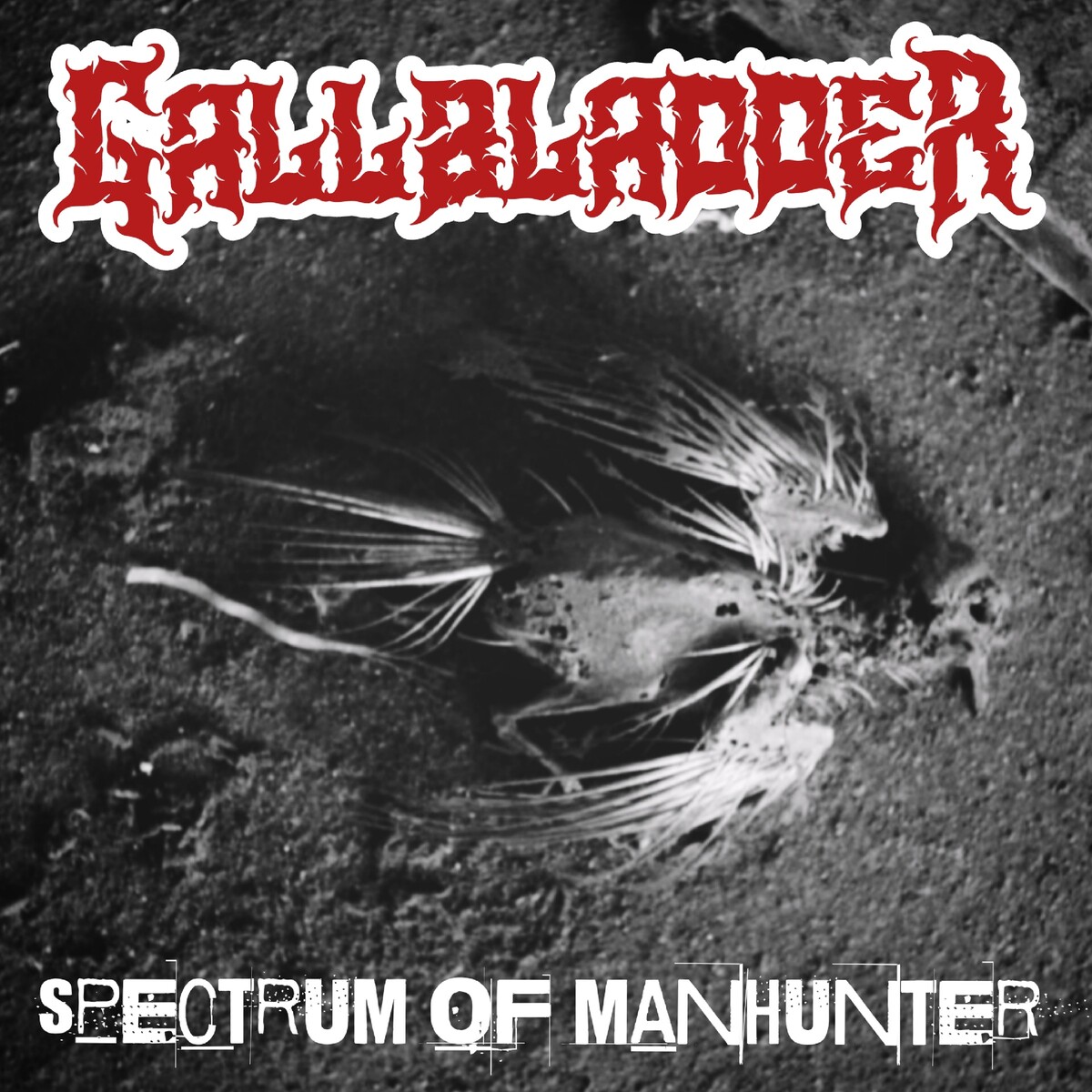 Spectrum of Manhunters by Gallbladder (Single): Reviews, Ratings ...