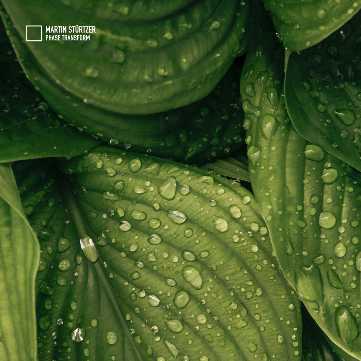 Phase Transform by Martin Stürtzer (Album, Dub Techno): Reviews ...