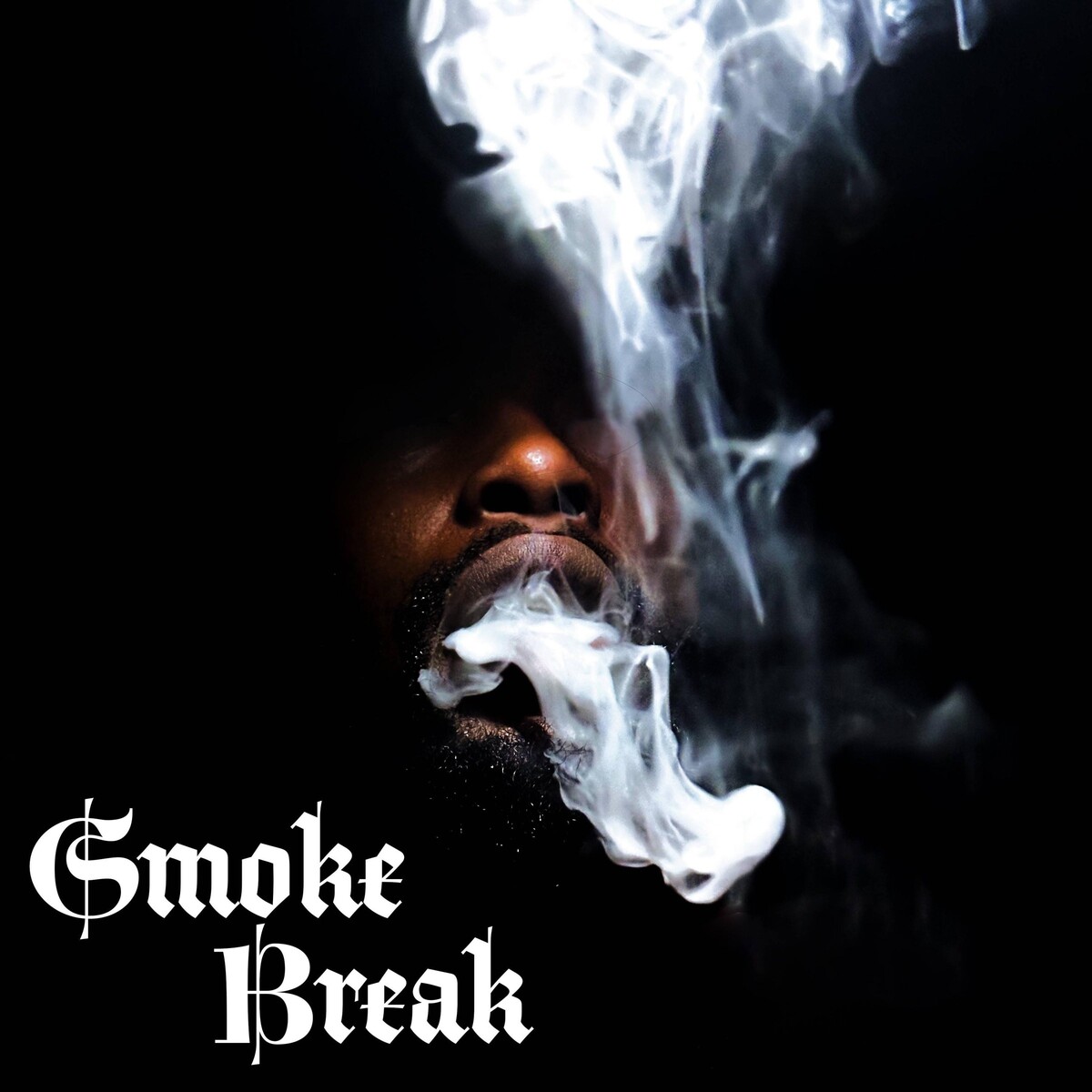 Smoke Break by SeanLevel & Fukkit (Album): Reviews, Ratings, Credits ...