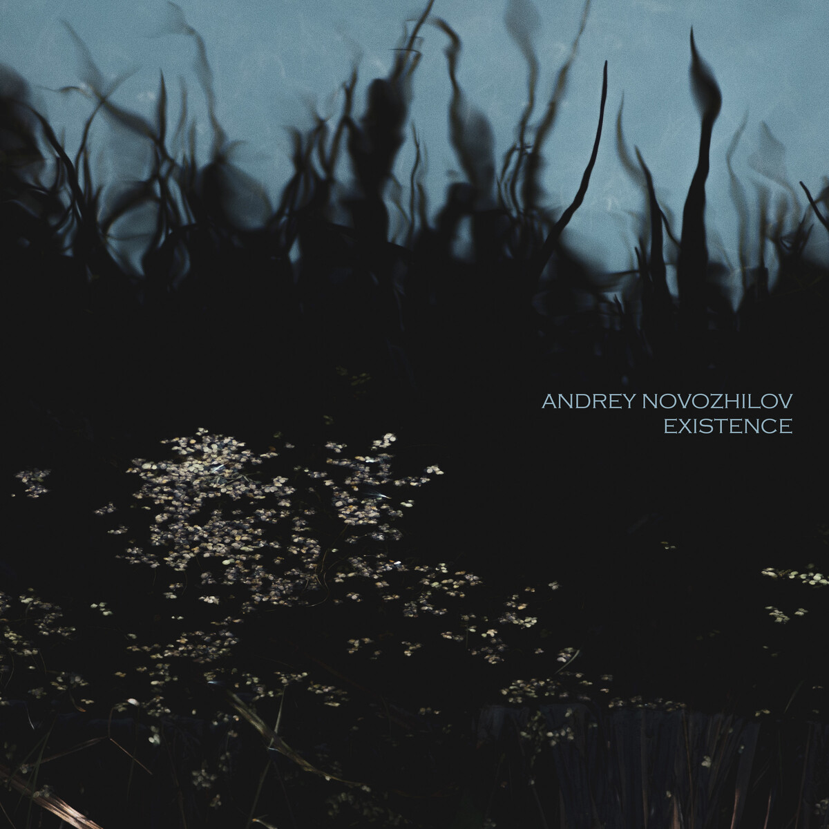 Andrey Novozhilov Albums: songs, discography, biography, and listening ...