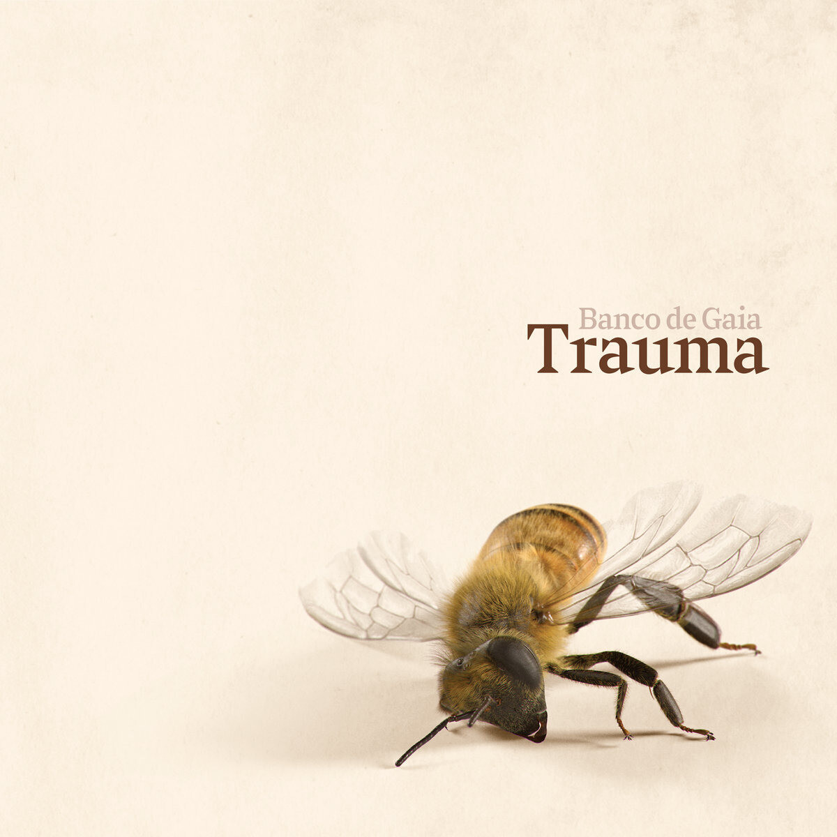 Trauma by Banco de Gaia (Album, Downtempo): Reviews, Ratings, Credits ...