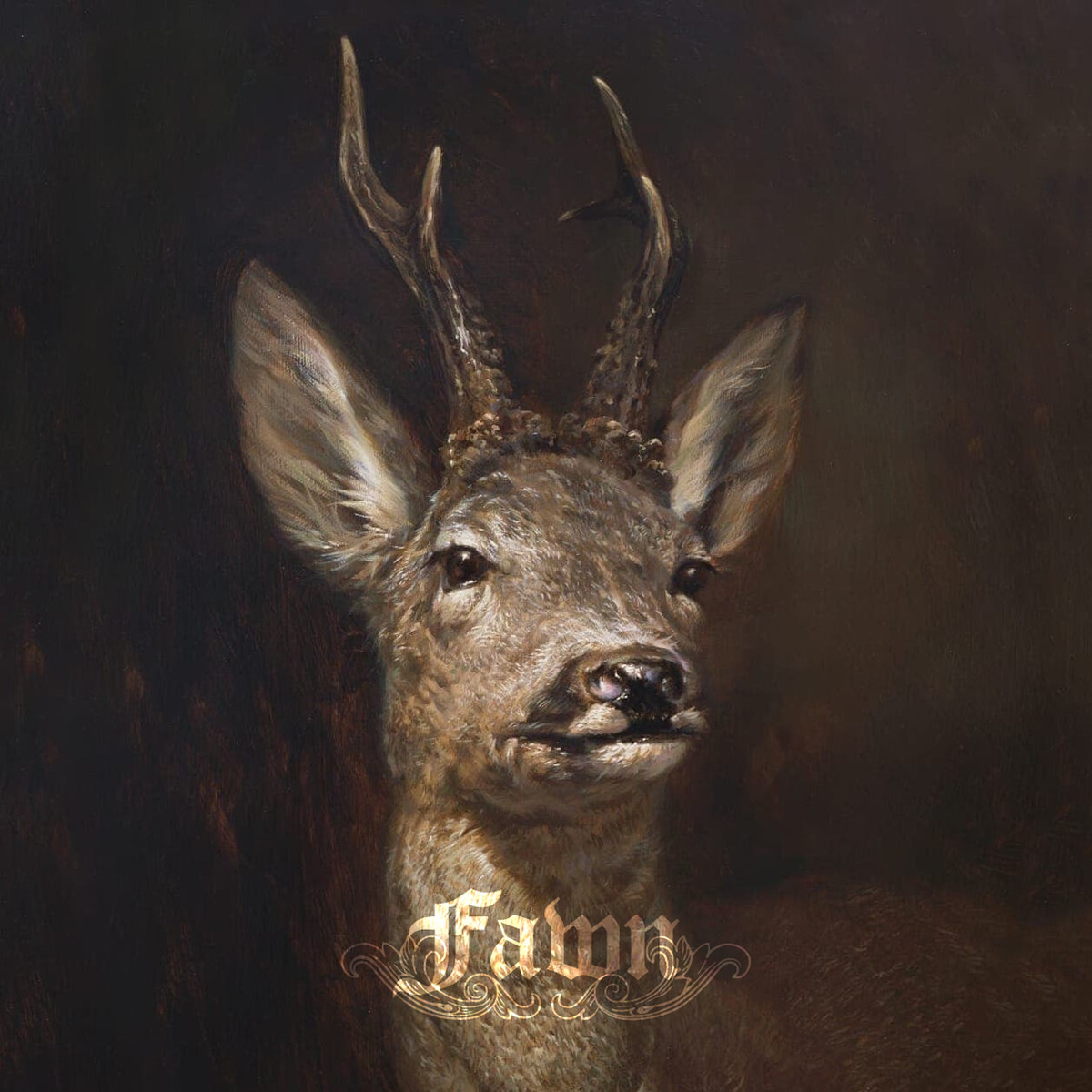 Fawn by Sau (Album): Reviews, Ratings, Credits, Song list - Rate Your Music
