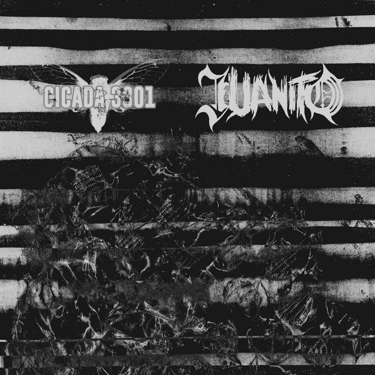 CICADA 3301 / JUANITO))) by Cicada 3301 / JUANITO))) (Album): Reviews ...