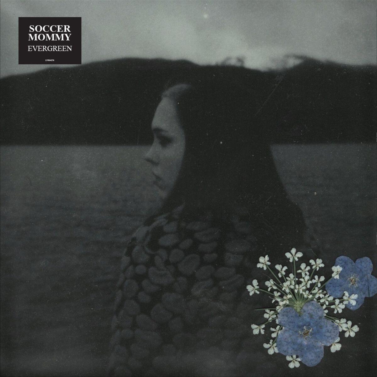 Evergreen by Soccer Mommy (Album, Singer-Songwriter): Reviews, Ratings ...