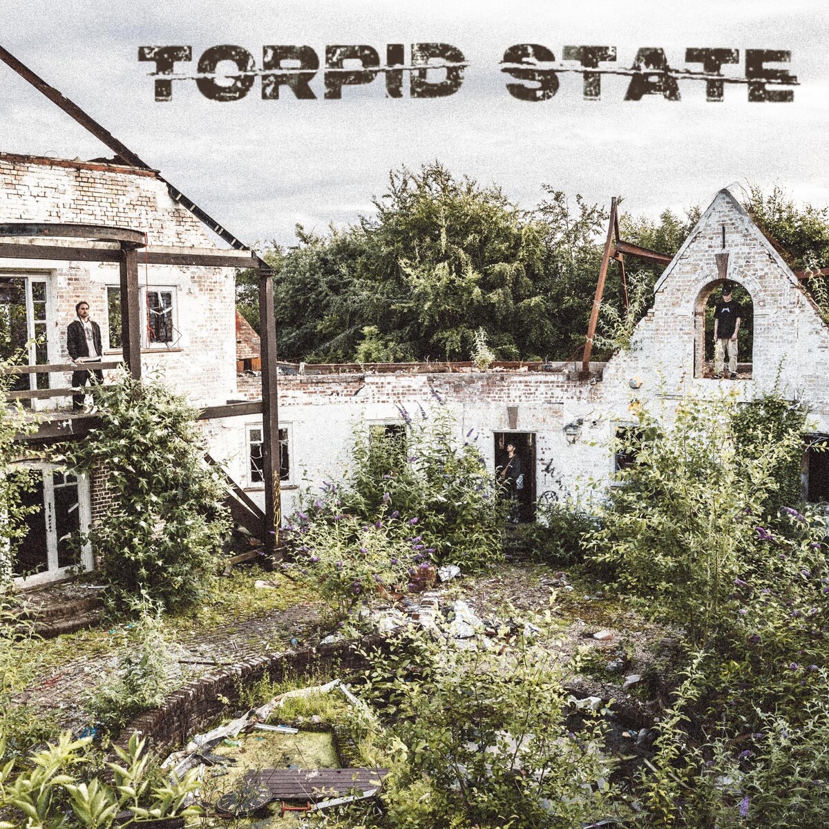 Torpid State Albums: songs, discography, biography, and listening guide ...