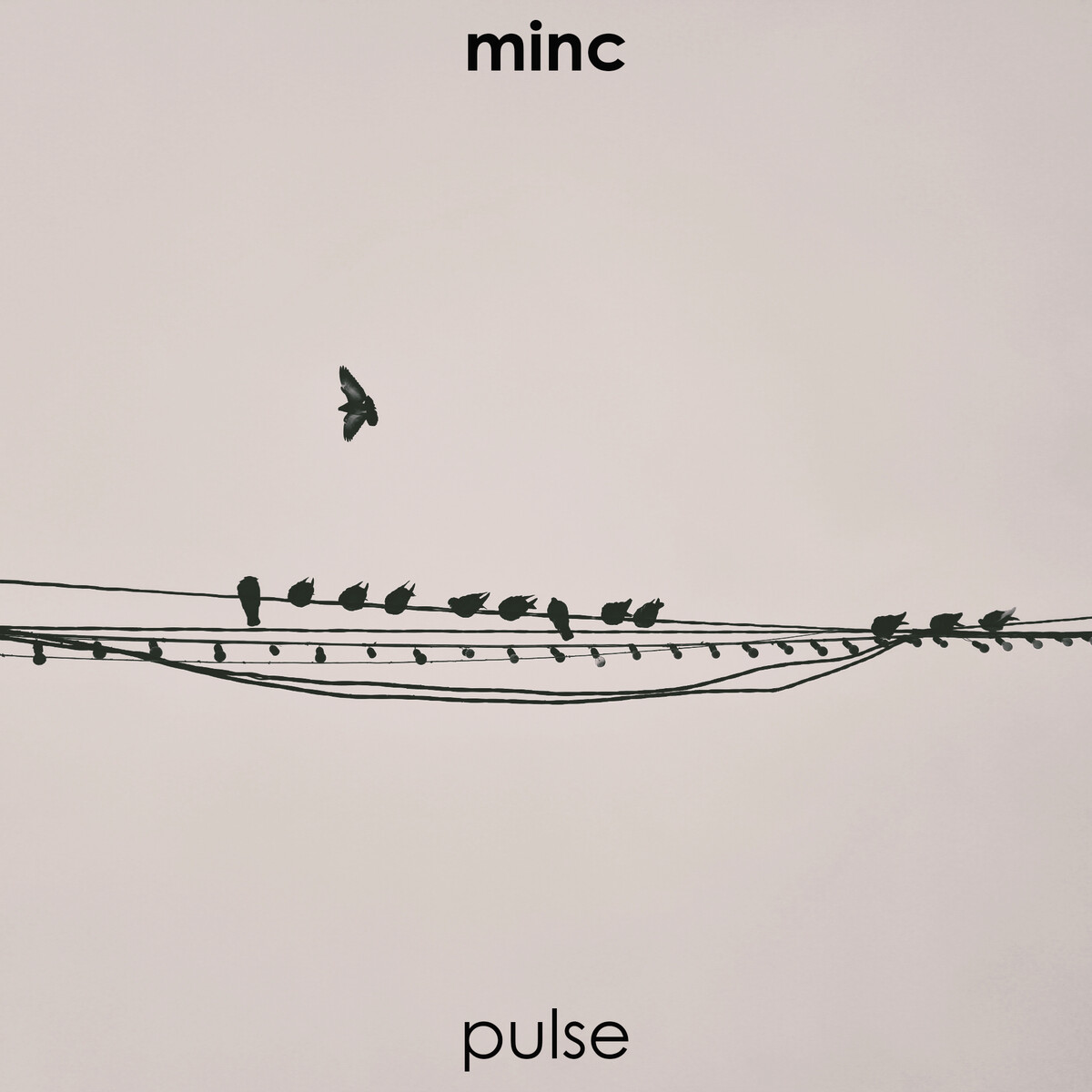 Pulse by Minc (Album): Reviews, Ratings, Credits, Song list - Rate Your ...