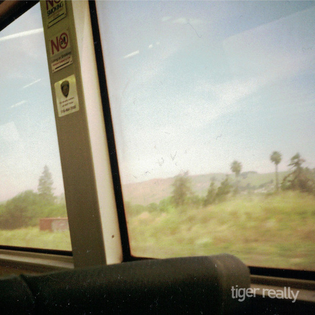 Slippers by Tiger Really (Single): Reviews, Ratings, Credits, Song list ...