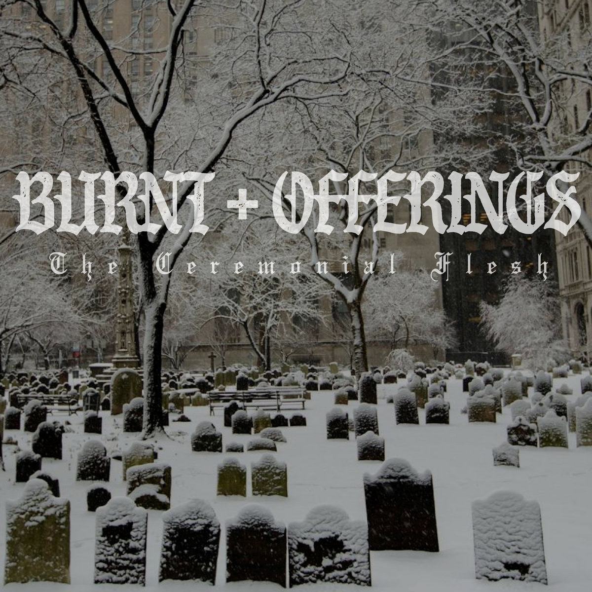 The Ceremonial Flesh by Burnt Offerings (Single): Reviews, Ratings ...