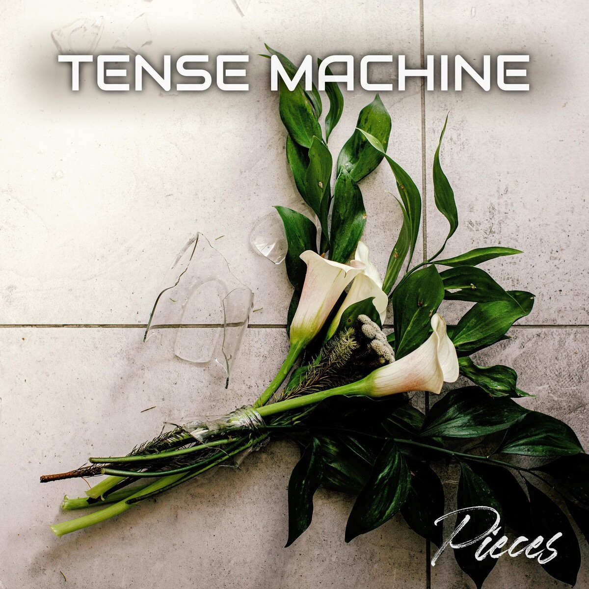 Pieces by Tense Machine (Single): Reviews, Ratings, Credits, Song list ...