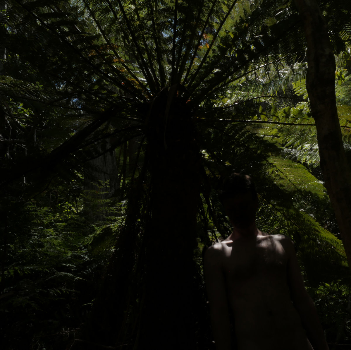 King Billy by King Billy (Album): Reviews, Ratings, Credits, Song list ...