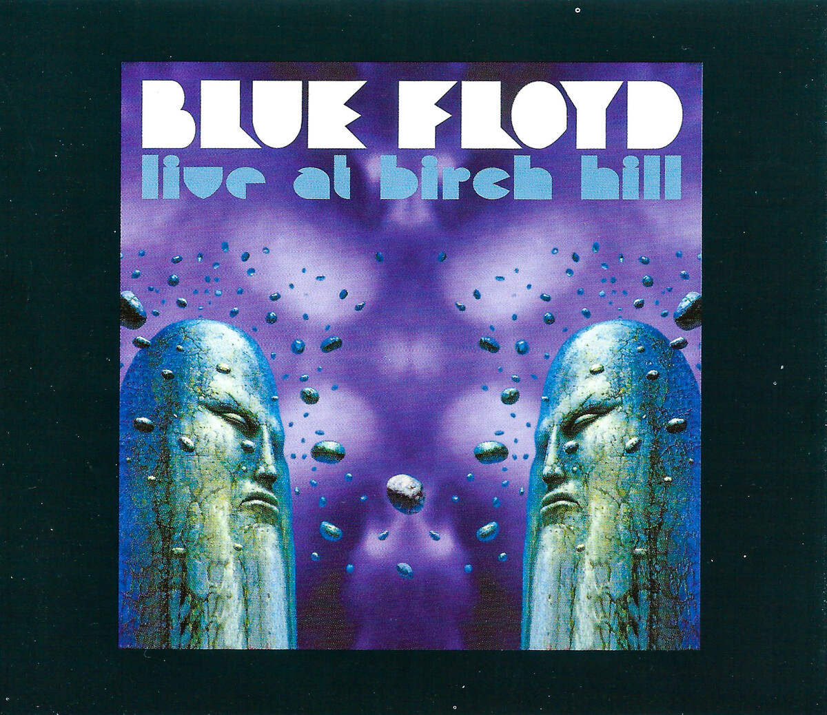 Live at Birch Hill by Blue Floyd (Album): Reviews, Ratings, Credits ...