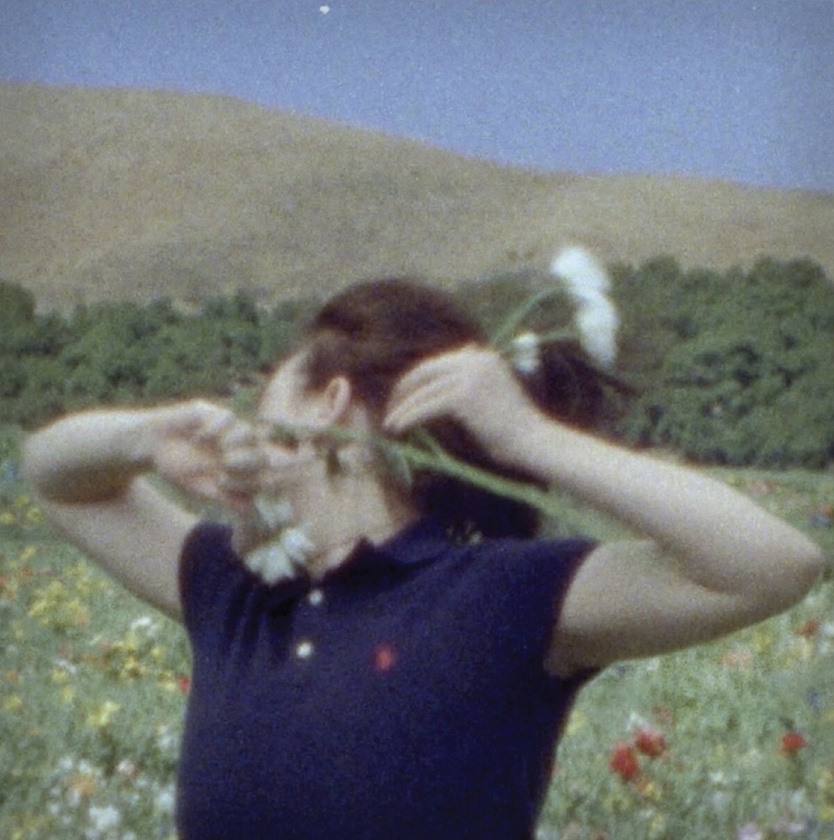 Birds of a Feather by Billie Eilish (Single, Alt-Pop): Reviews, Ratings ...