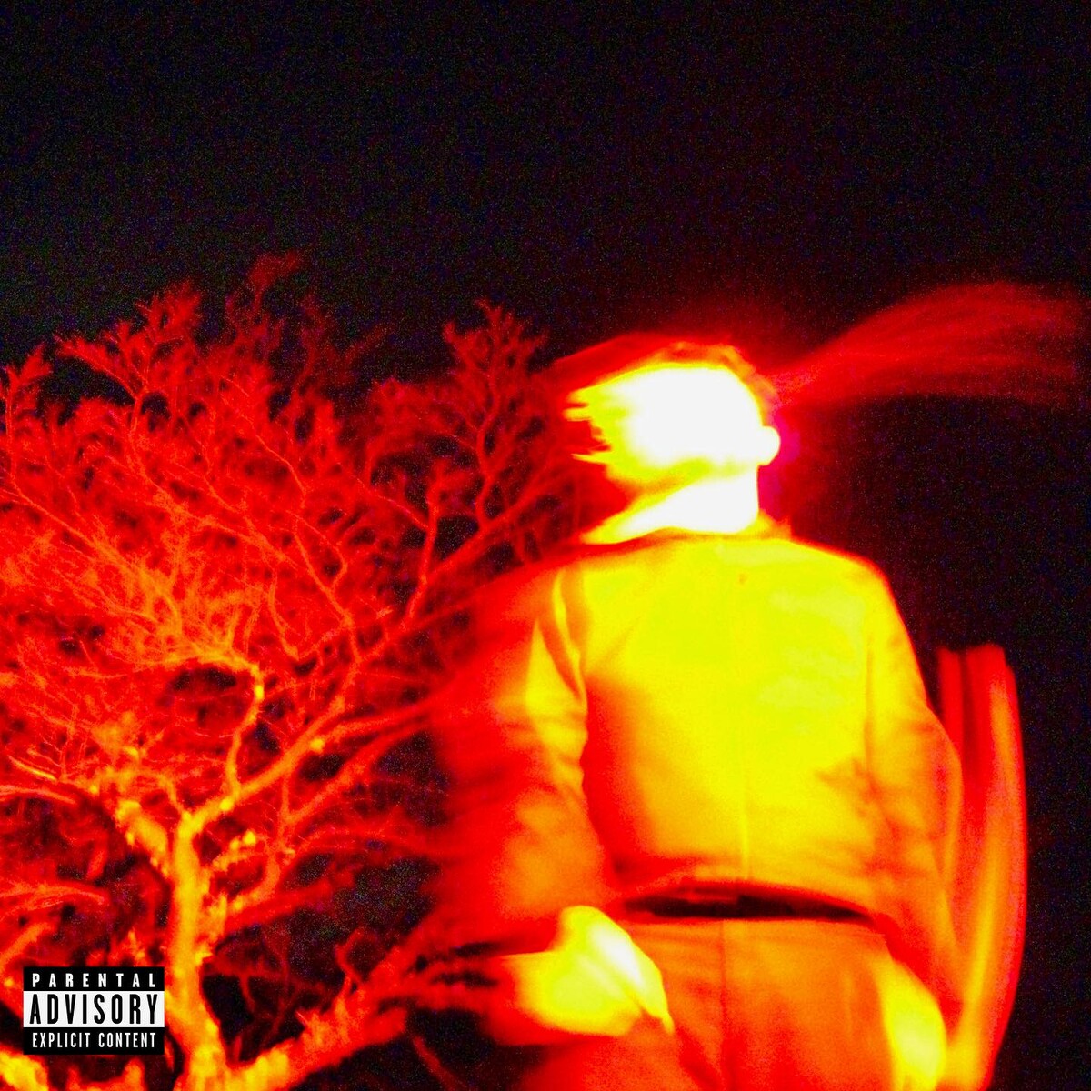 ill quentin Albums: songs, discography, biography, and listening guide ...