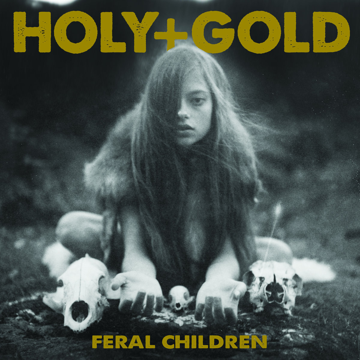 Holy+Gold Albums: songs, discography, biography, and listening guide ...