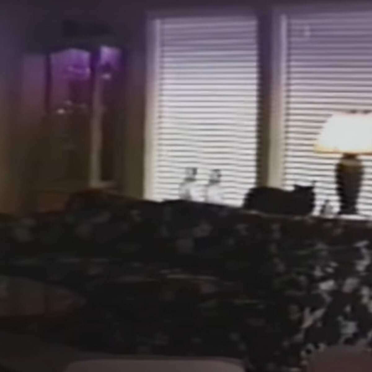 TCR 00 01 by VHS TCR (Album, Broken Transmission): Reviews, Ratings ...