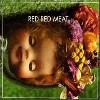 Red Red Meat Albums: songs, discography, biography, and listening guide ...