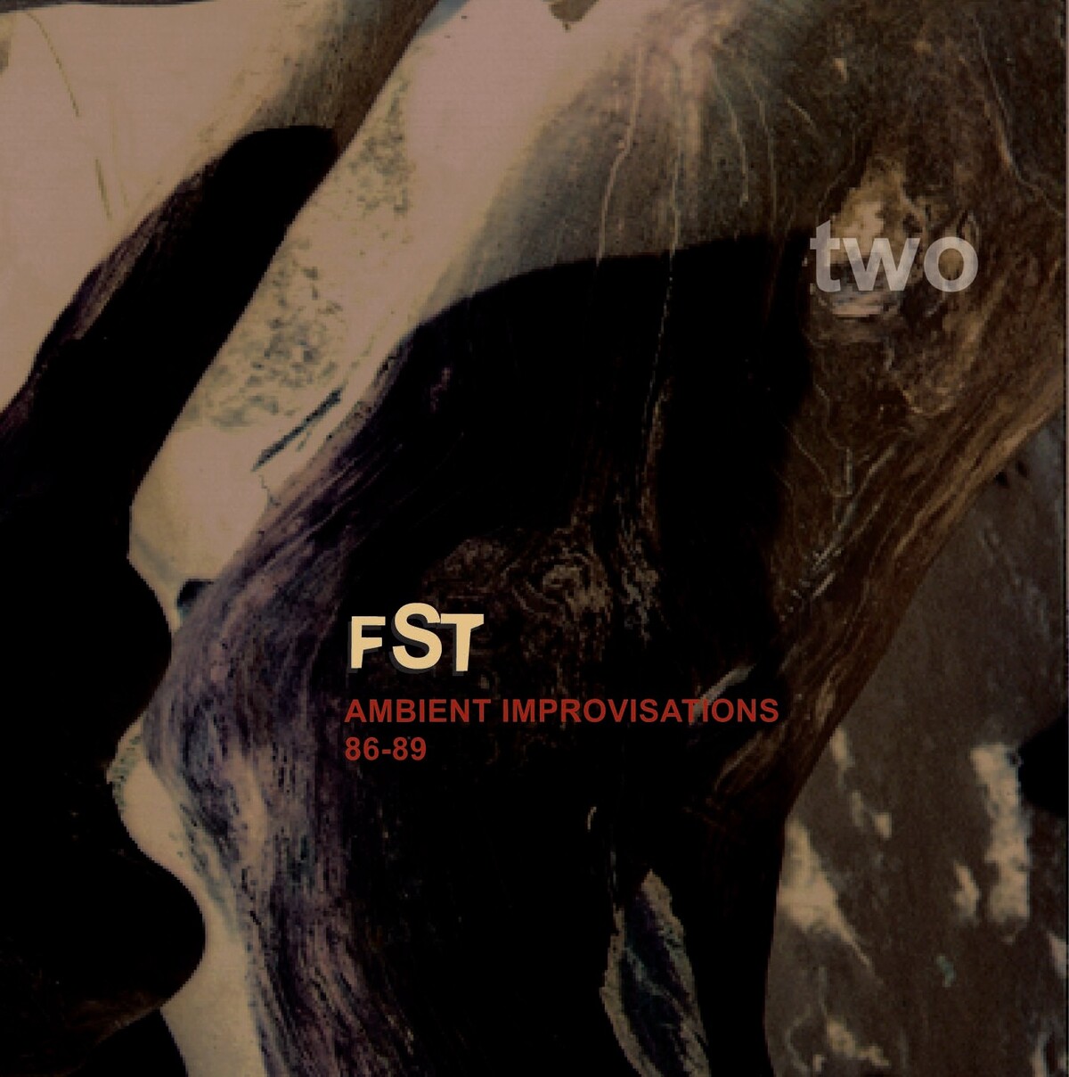 Ambient Improvisations 86-89 Vol Two by FST (Album): Reviews, Ratings, Credits, Song list - Rate ...