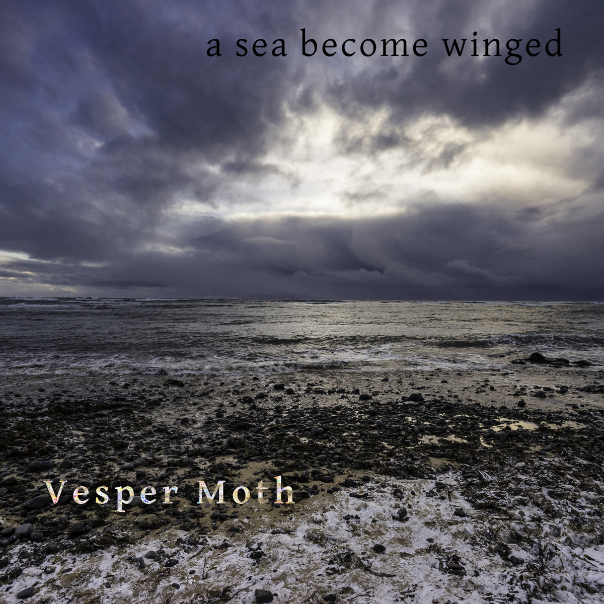 Vesper Moth Albums: songs, discography, biography, and listening guide ...