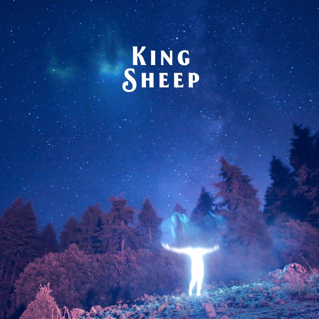 Journey by King Sheep (Single): Reviews, Ratings, Credits, Song list ...