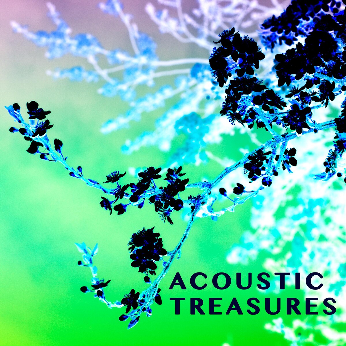 Acoustic Treasures by Laurent Dury (Album, Library Music): Reviews ...