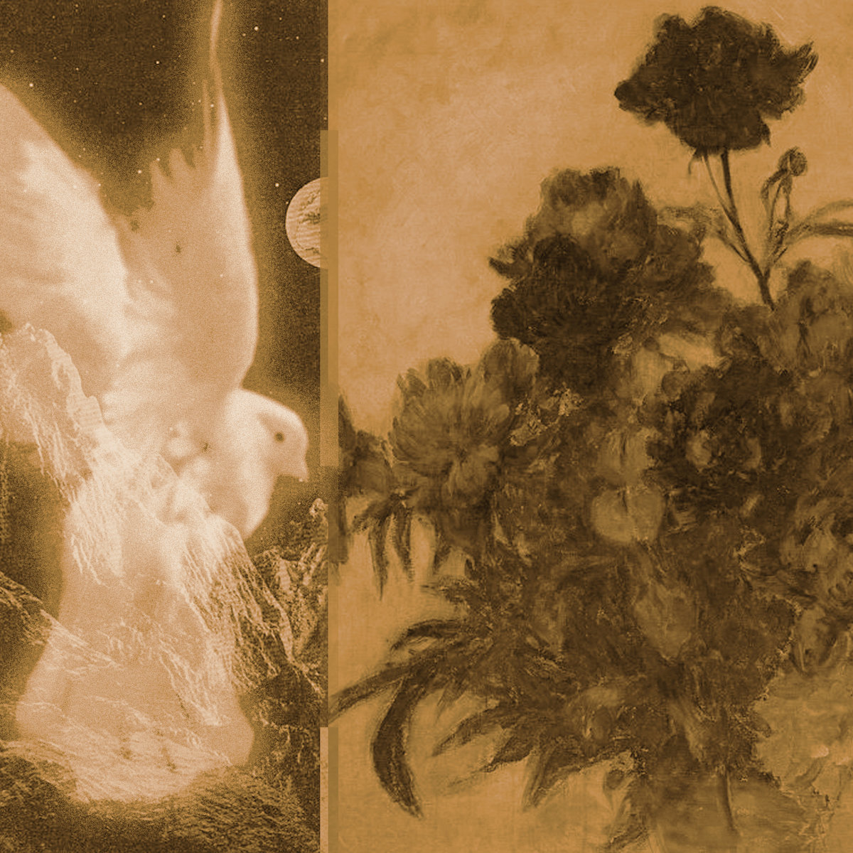 Wilting by marigold (Album; n/a; n/a): Reviews, Ratings, Credits, Song ...