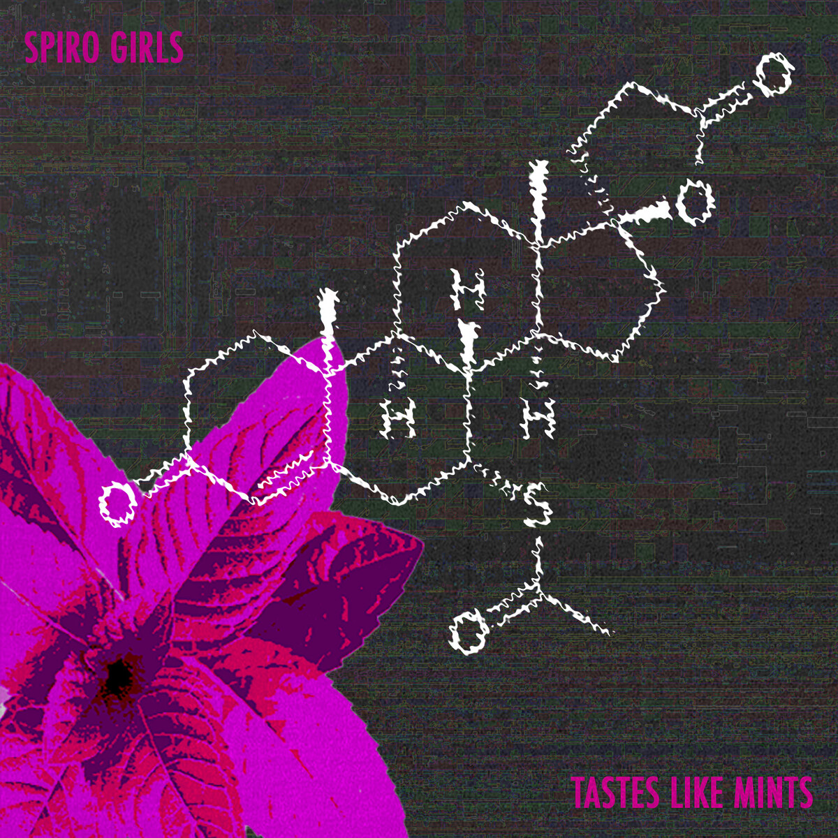 Spiro Girls Albums: songs, discography, biography, and listening guide ...