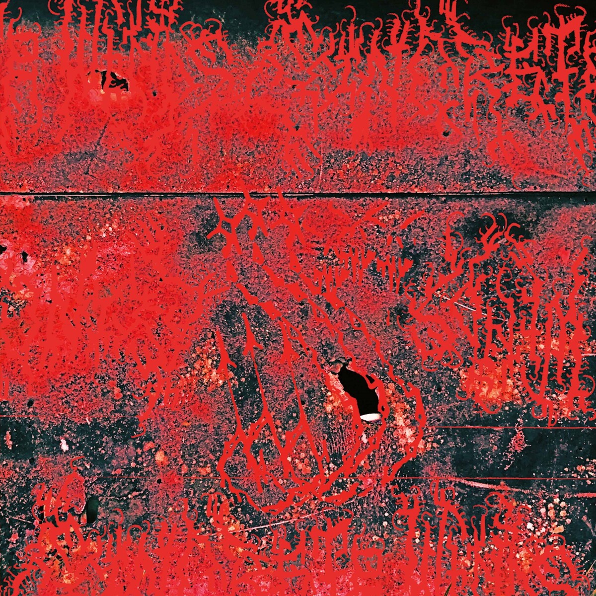 Best Deathgrind albums of 2024 - Rate Your Music