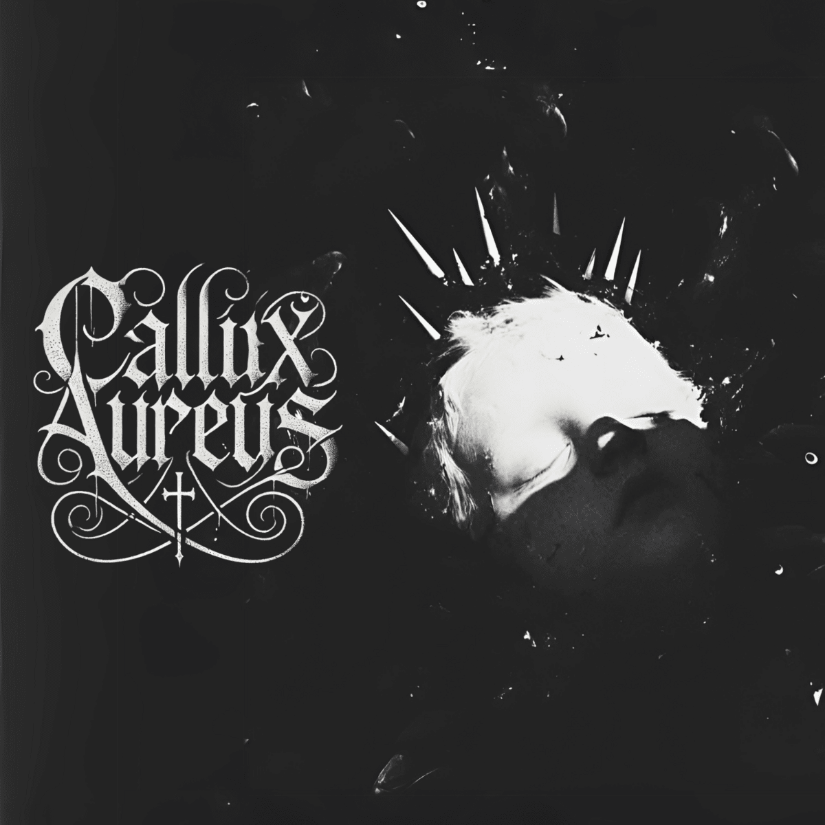 Callix Aureus Albums: songs, discography, biography, and listening ...