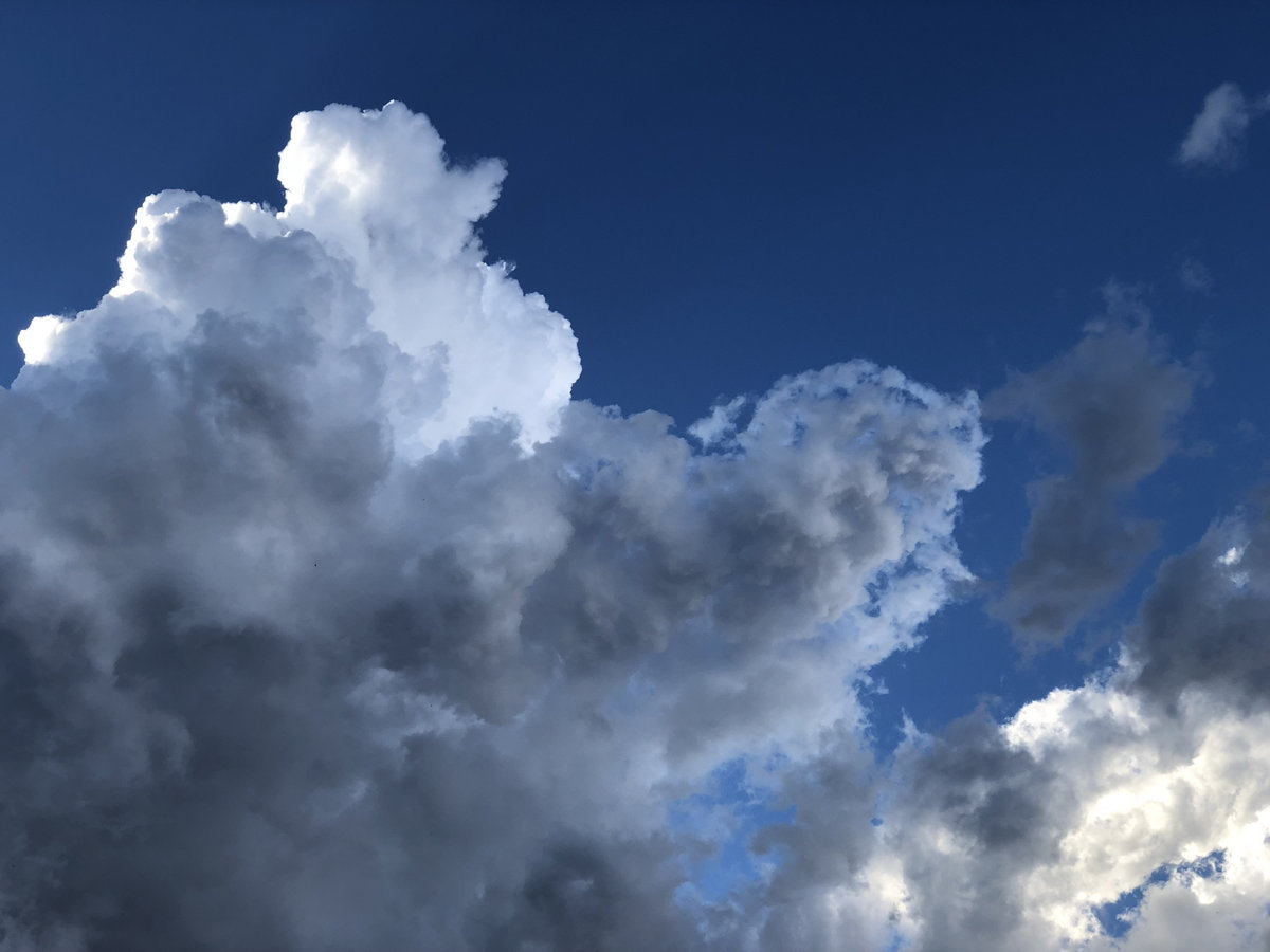 Music credits for Tomas delToro-Diaz : 22 performances listed under ...