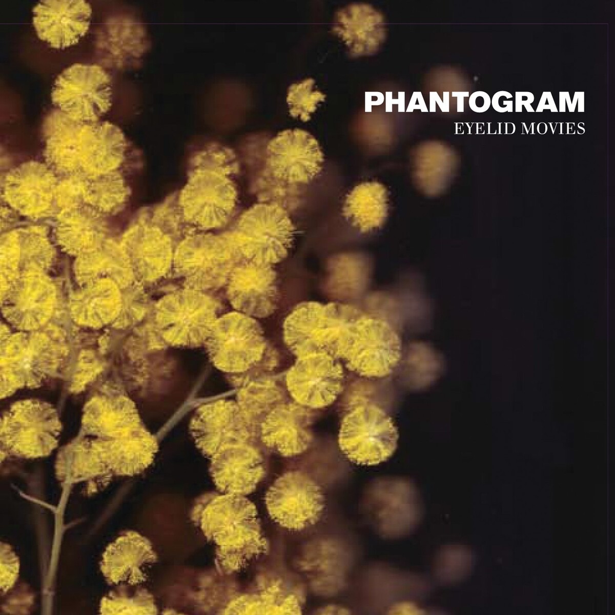 When I'm Small by Phantogram (Single, Trip Hop): Reviews, Ratings ...