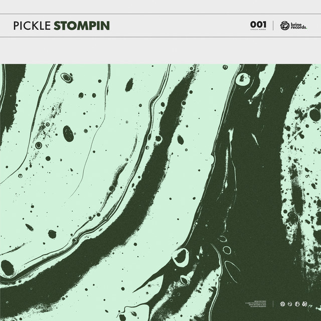 Stompin' by Pickle (Single, Tech House): Reviews, Ratings, Credits ...