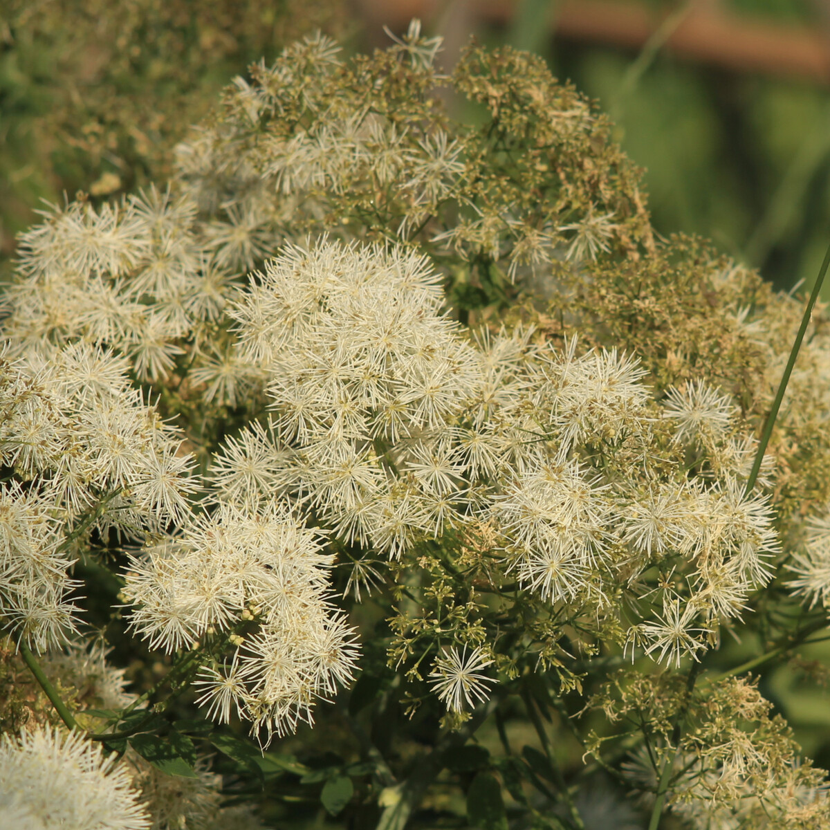 Tobok by Sonnov (Album): Reviews, Ratings, Credits, Song list - Rate Your Music