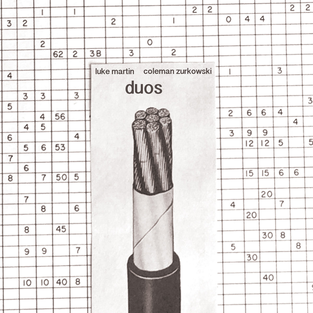 Duos by Luke Martin / Coleman Zurkowski (Album): Reviews, Ratings ...