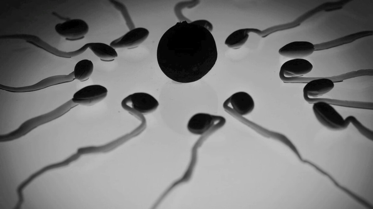 Beyond Beautiful (Censored Version) by Lord of the Lost (Music video ...