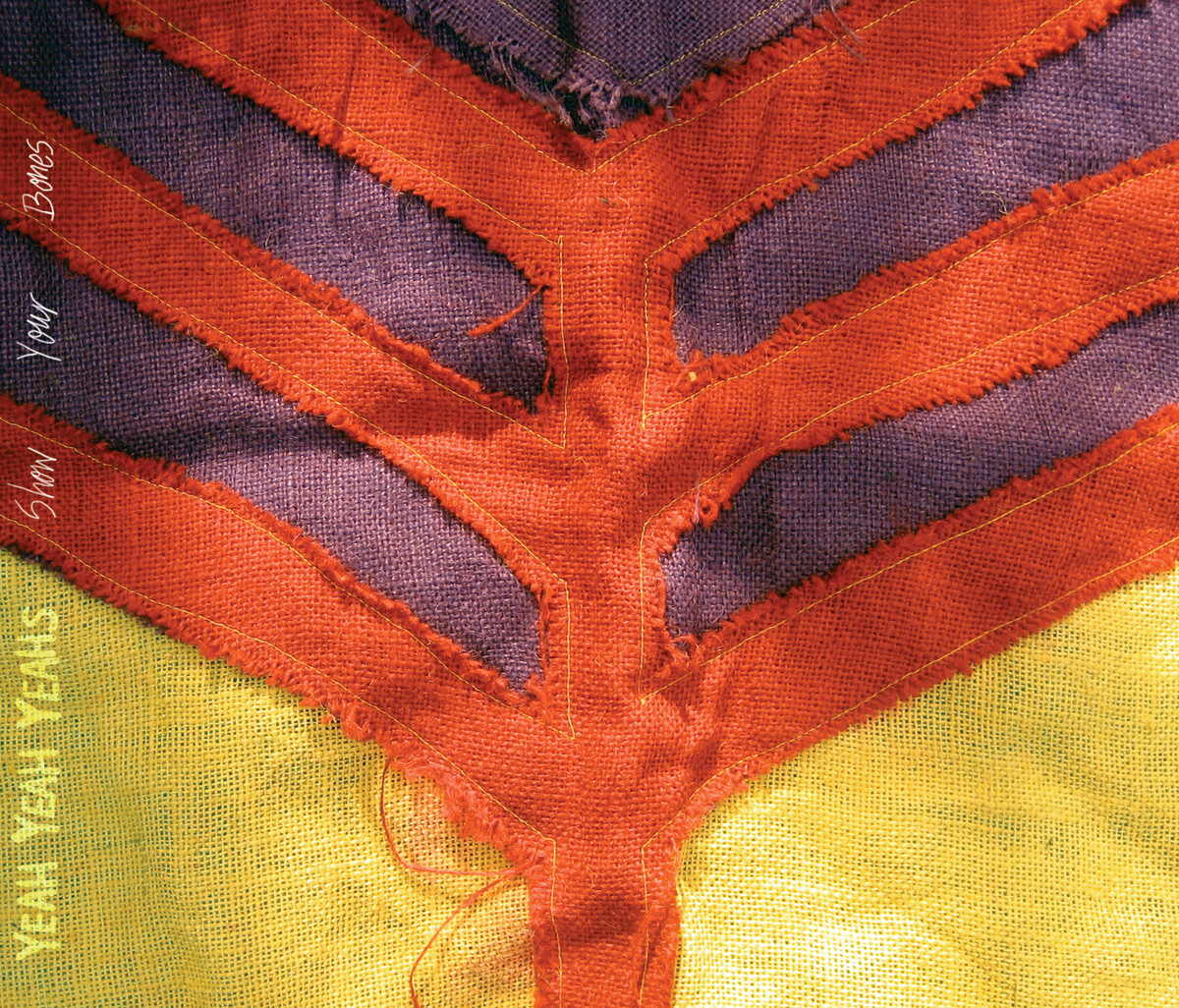 Show Your Bones by Yeah Yeah Yeahs (Album; Polydor): Reviews, Ratings ...