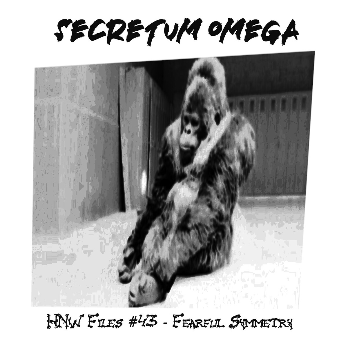 HNW Files #43 - Fearful Symmetry by Secretum Omega (Album; n/a; n/a ...