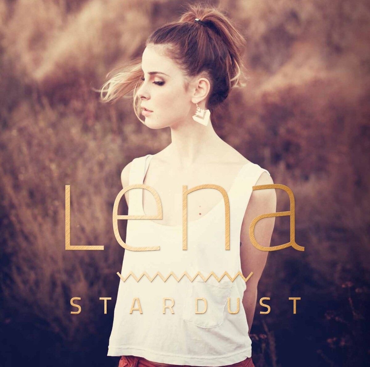 Stardust by Lena (Album; We Love Music; 0602537333370): Reviews ...