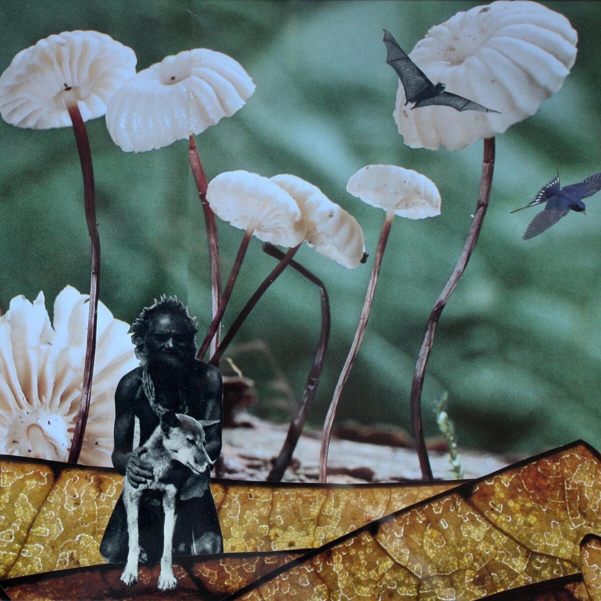 Dingo Babies by Leron Thomas (Album): Reviews, Ratings, Credits, Song ...