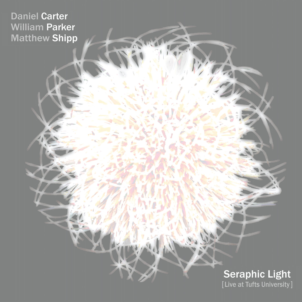 Daniel Carter Albums: songs, discography, biography, and listening ...