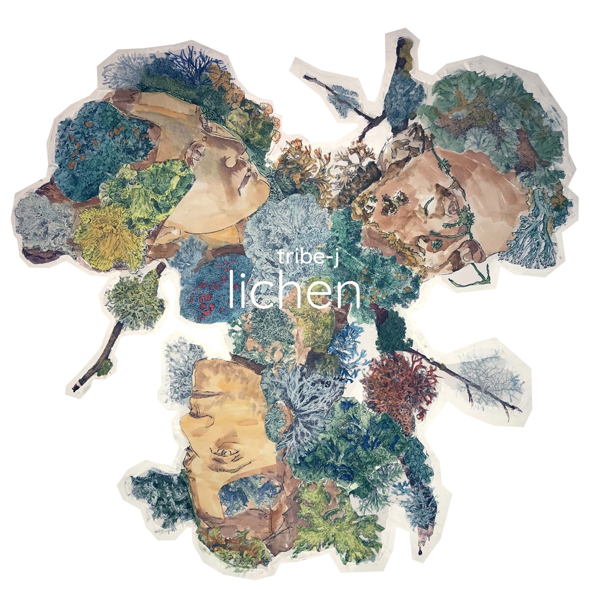 Lichen by Tribe-J (Album, Math Rock): Reviews, Ratings, Credits, Song ...